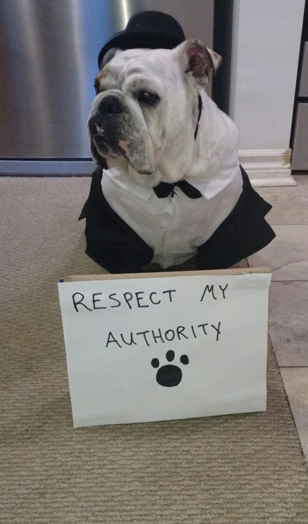 How To Become An Authority | 45 Experts Share Their Strategies